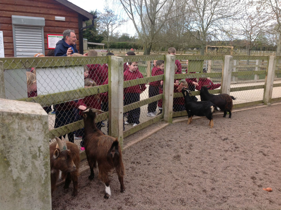 Tannaghmore Farm Visit